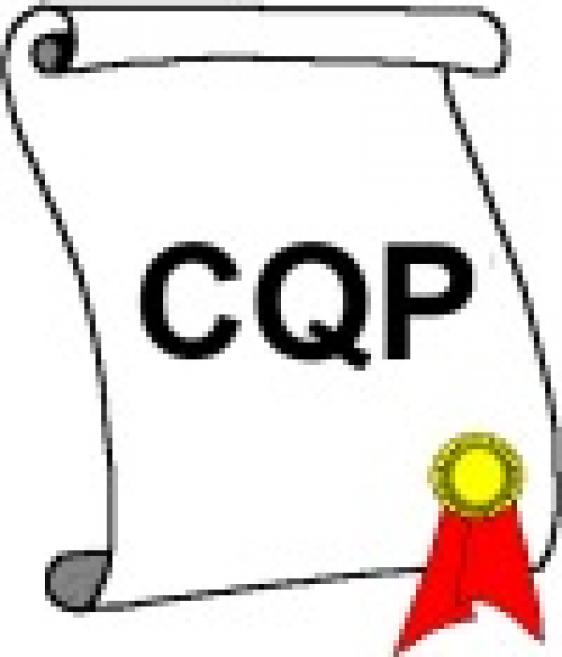 Titulaire d'un CQP ou ex-employeur d'un étudiant CQP ? Une vaste ...